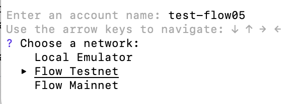 Flow Blockchain cli. สวัสดีครับวันนี้ จะมาทดลองใช้งาน CLI… | by ...