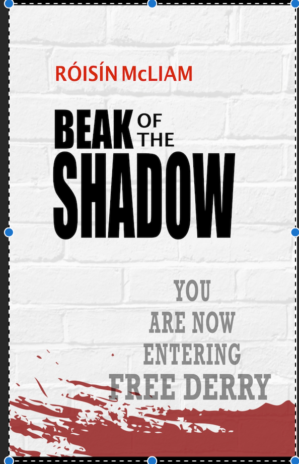 Beak of the Shadow- a review. ***** | by San Cassimally | Medium