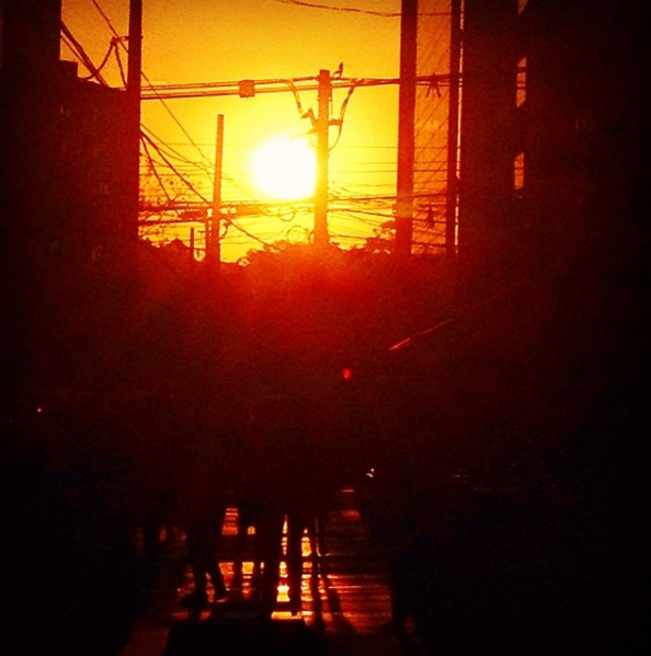 Sol de Inverno. O sol de inverno pede paciência. O sol… | by JCBH | Medium
