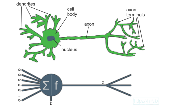 Neural Network Activation Functions | by Esmail Atta | Medium