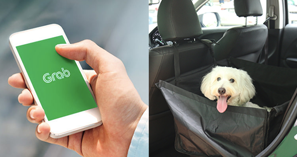 GrabPet — Product Marketing Plan. Introduction: | by Sravanti Uppaluri ...