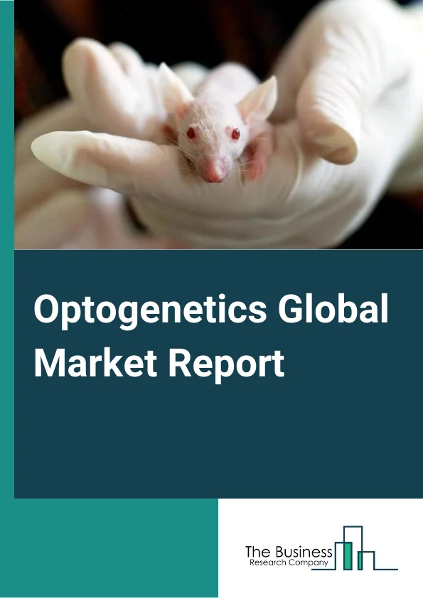 Optogenetics Market Growth Trajectory Through 2024–2033 | by Sam ...