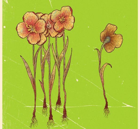 Never wanted to be a wallflower. I never liked to be alone but for some ...