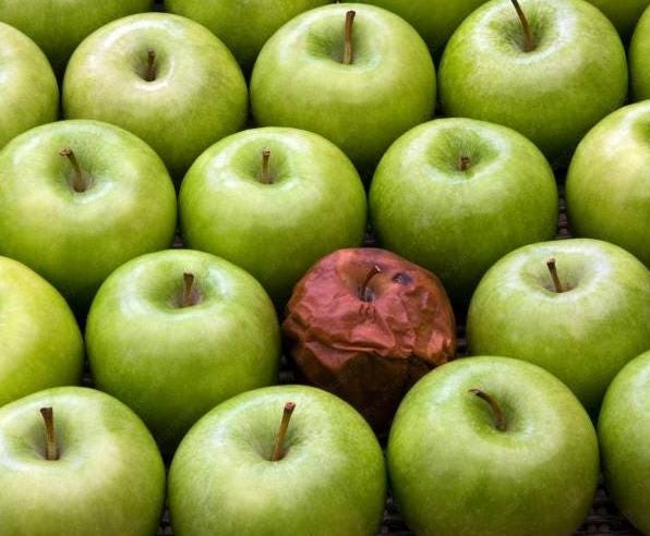 Descartes’ Bad Apples Analogy. An initially appealing argument does ...
