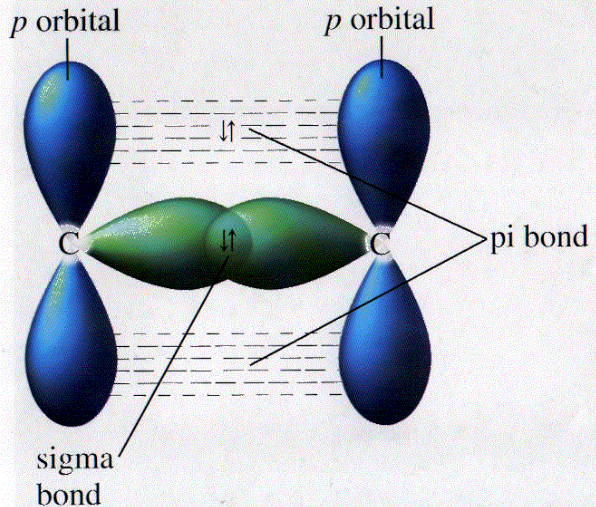 What Are Sigma Bonds