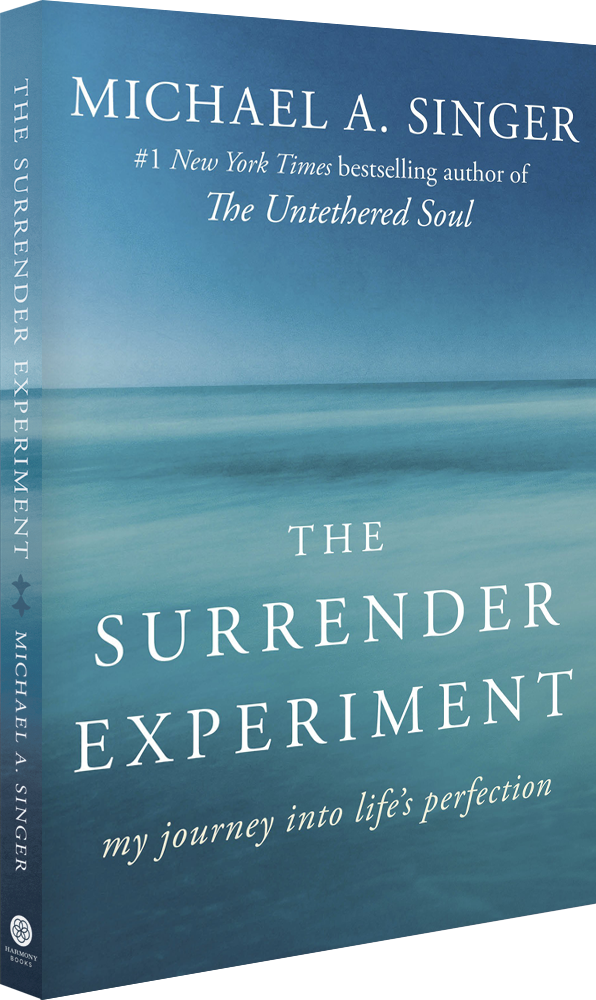 #15 — A Journey of Letting Destiny Lead: “The Surrender Experiment” by ...