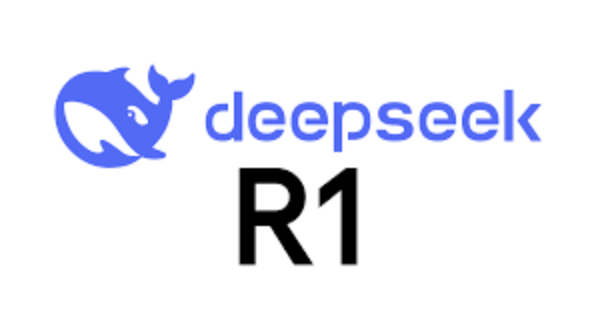 Run DeepSeek-R1 Locally Without Internet Using Agno | by Gagan Sidhu ...