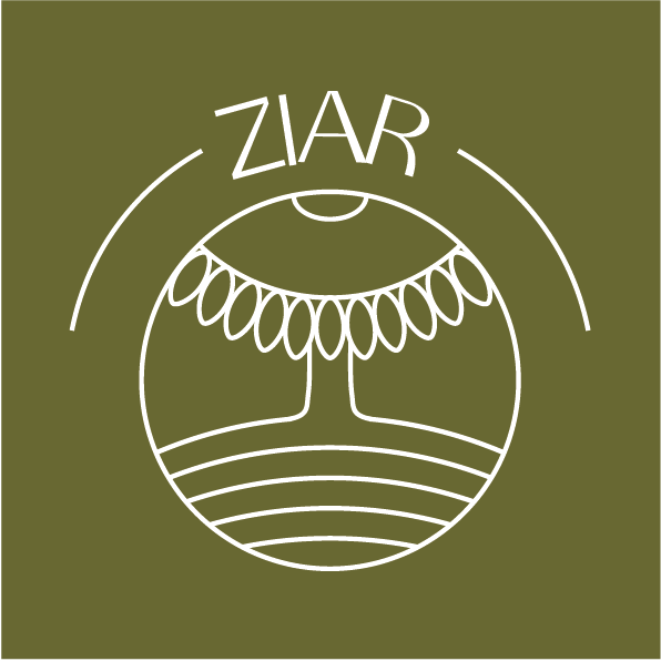 Vamos Ziar?. O que é a Revista Ziar? | by Revista Ziar | Medium