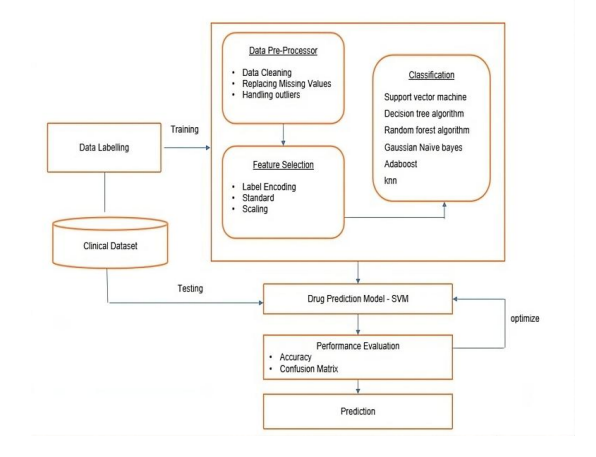 From Raw Data to Insights: Building a Drug Classification Model Using ...