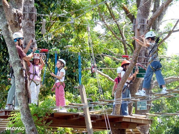 Outdoor Team Building Activities Singapore — Team Elevate - Team Elevate - Medium