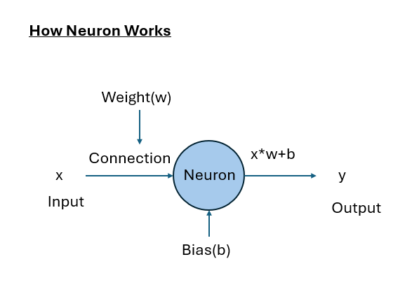 Understanding the Core Building Blocks of Neural Networks | by Pavithra ...