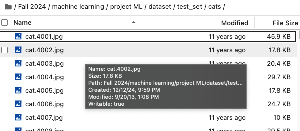 Image Classification Using Cnn Cnns Supervised Machine Learning