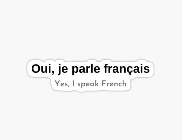 Learning French, Duolingo streak, Learning a language, je parle ...
