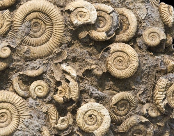 Depression…Mine I find myself…again… in the midst of madness There are ...