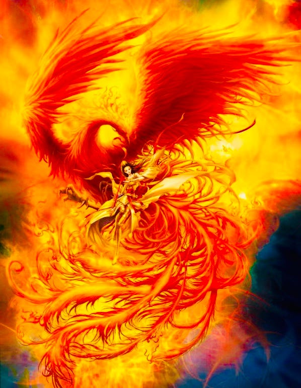 The Phoenix Princess. Diary of the untamed shrew | by Willow T ...