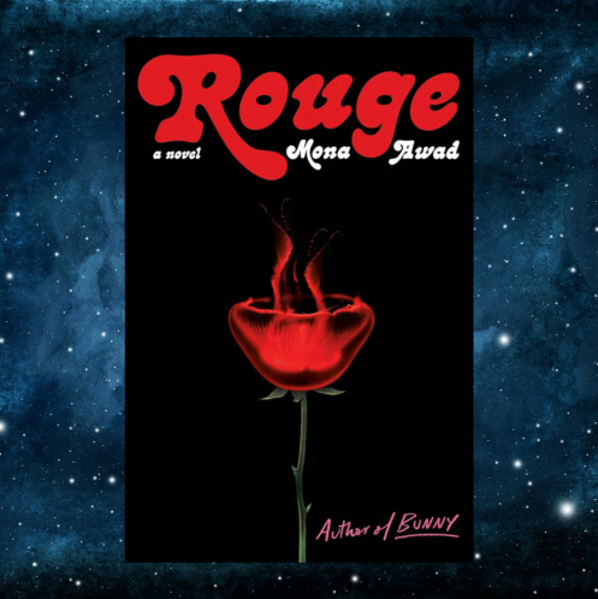 Rouge: A Novel — Unveiling the Glamorous Underbelly of Makeup and ...