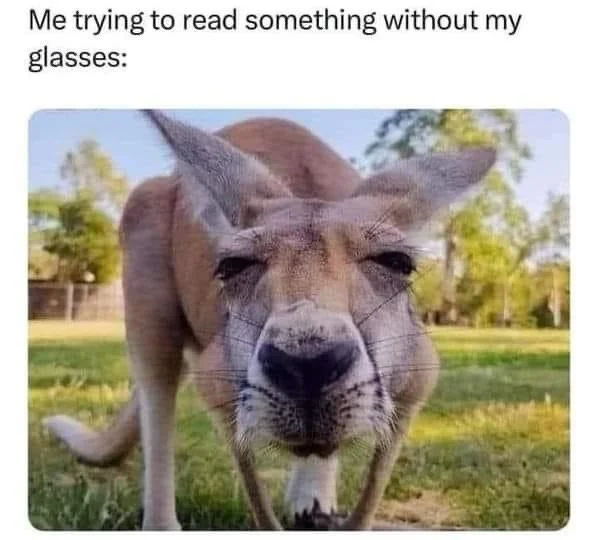 15 Hilarious Memes That Make No Sense but Totally Work - Chameleon ...