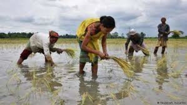 Monsoon in India and its effect on agriculture! | by Vlog Bharat | Medium