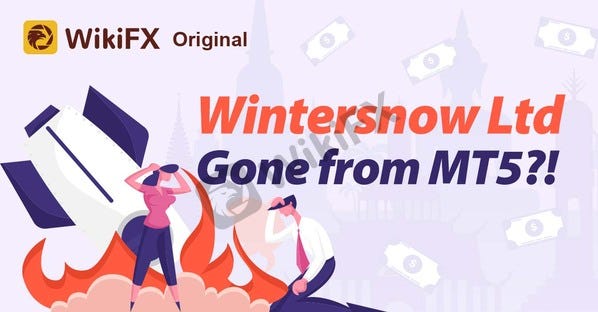 Wintersnow Ltd Gone from MT5?! - Cicpep - Medium