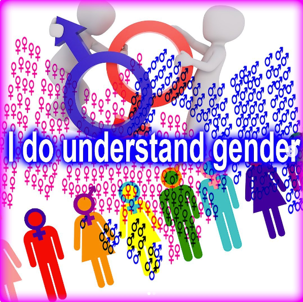 null: My Gender Identity is a JavaScript Data Type | by deleted account ...