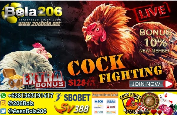 Membahas Istilah Sejara Wala dan Meron Di Dunia Sabung Ayam | by ...