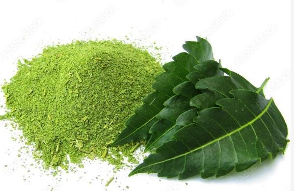 Examining the Miraculous Neem: A Comprehensive Guide to Skincare ...