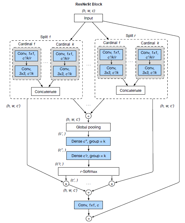 ResNeSt: Split-Attention Networks(Image Classification) | by Moris | Computer Vision Note | Medium
