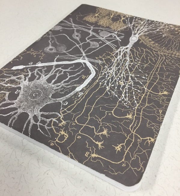 Diary of a Pre-Trans Woman, Part 1: Exploration | by Amanda Roman | Medium