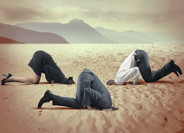The Consequences of Wilful Ignorance | by Ray Williams | Medium