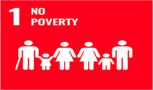 Sustainable Development Goals 1: No Poverty | by Erol Can Turşucu | Medium