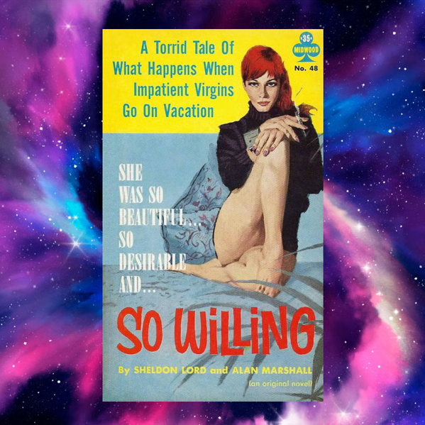 Enchanted Odyssey: Discovering the Magic Within ‘So Willing’ | by Mimi_Bill | Feb, 2024 | Medium