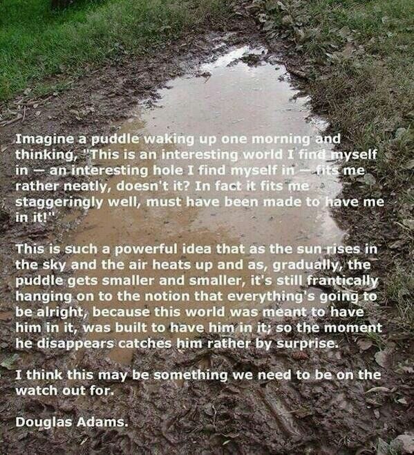 Was the hole made for the puddle? | by Tony Fish | Medium