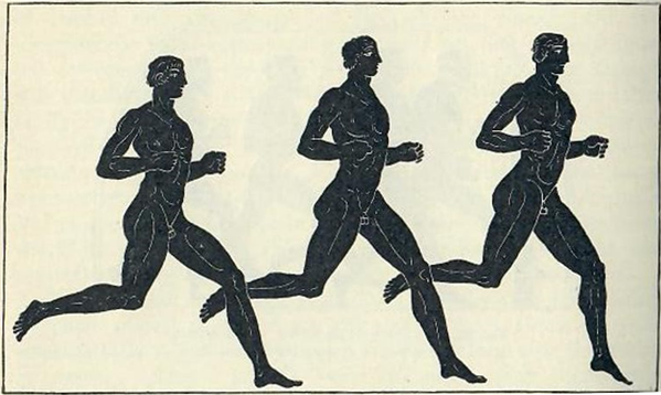 The Myths that Made the Marathon. Ancient Battle, Olympic Drama, Modern ...