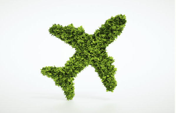 IQ.gg: Redefining Travel with Sustainability, Compassion, and ...