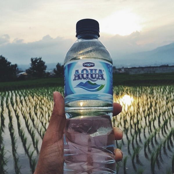 Danone in Indonesia. With more than 14,000 employees and 21… | by ...
