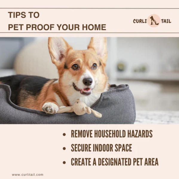 Pet Safety Essentials — Ensuring a Secure and Happy Home - Ashok Kumar ...
