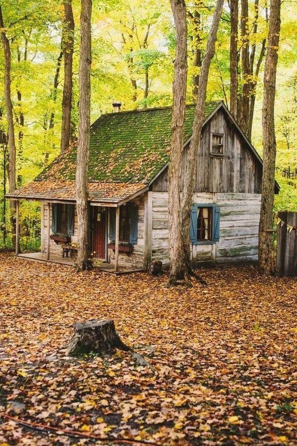 You Must Make Your Own Happiness. by m.s.wardrip | by steve wardrip ...