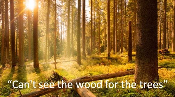 “Can’t see the wood for the trees” | by Leslie Clarke | Medium
