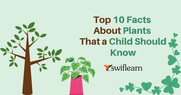 top-10-facts-about-plants-that-a-child-should-know-swiflearn-by