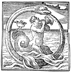 Aethiopian Drakon Greek Mythology