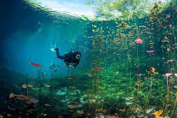 Exploring the Hidden Depths: Discover the Best Diving Spots in Tulum ...