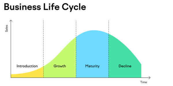 Guide to Understanding and Navigating the Business Life Cycle | by ...