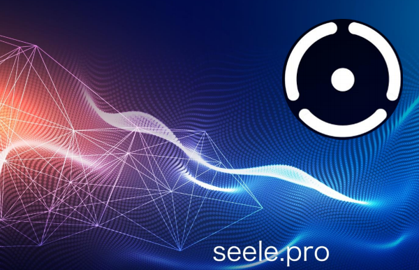 Seele Project Overview. Seele means “soul” in German, and this… | by Credibilityofcrypto | Medium