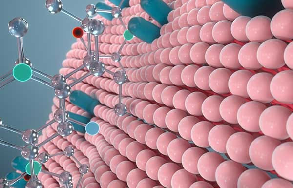 APPLICATIONS OF LECTIN CONJUGATES IN MOLECULAR AND CELLULAR BIOLOGY ...