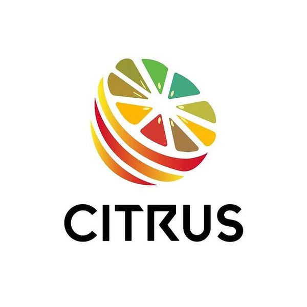 Citrus. CITRUS ECOSYSTEM | by Fundigibran | Medium