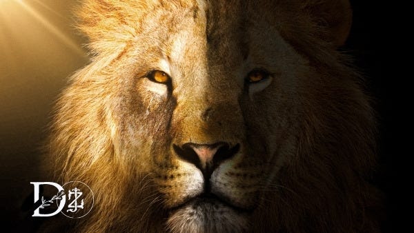 Dead Lions: Spiritual Power Associated With Lions | by Alexander (Alex ...