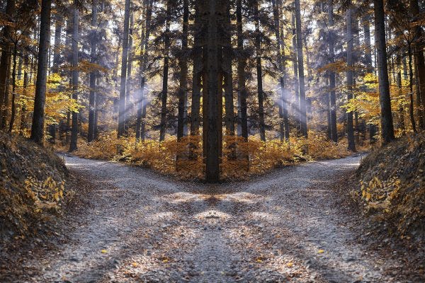 Two Roads Diverged…. “Two roads diverged in a yellow wood… | by David J. Bookbinder ...