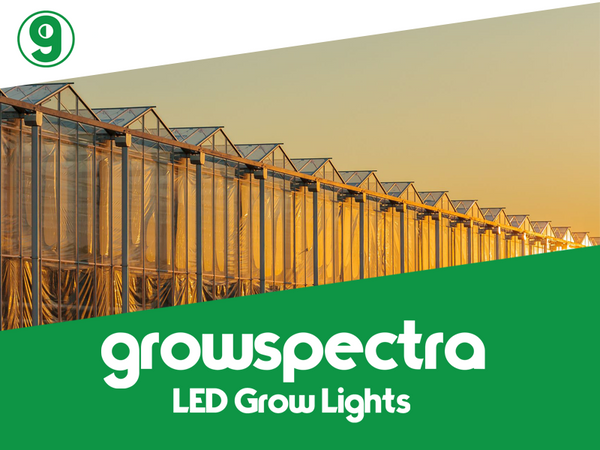 Illuminating Growth: Explore the Potential of Plants with LED Grow ...