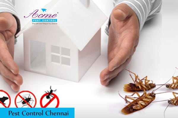Pest Control Chennai. Acme pest control is one of… | by devakidk | Medium