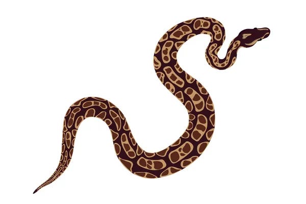 Unlocking Workflow Efficiency: The Power of Python Virtual Environments 🐍 💻 | by Coolhein | Feb ...